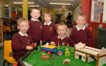 Armagh Christian Brothers' Primary School, Greenpark, Keady Road, Armagh